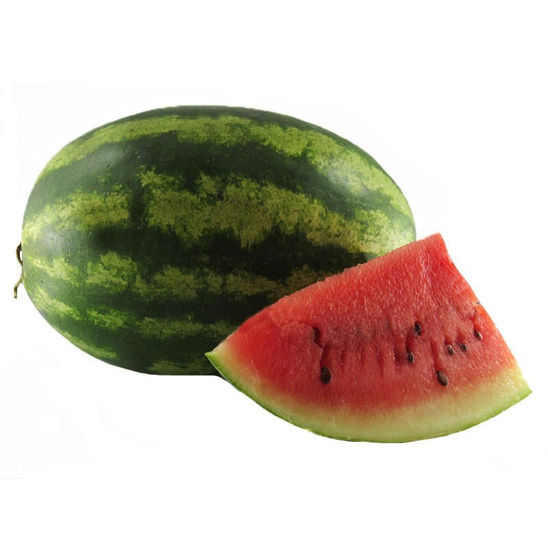 Coco Rallado Solsemilla 60gr