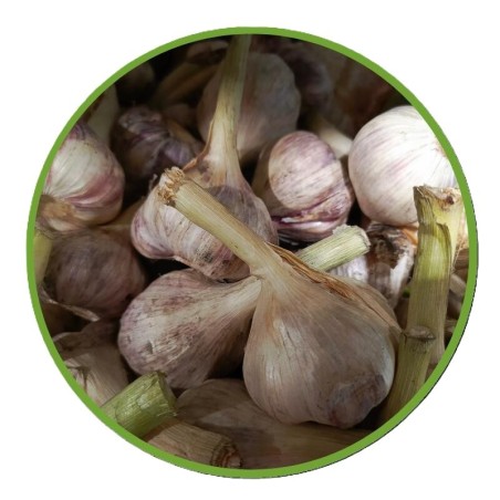 Brownie Ramo Mini 15 Und 300gr